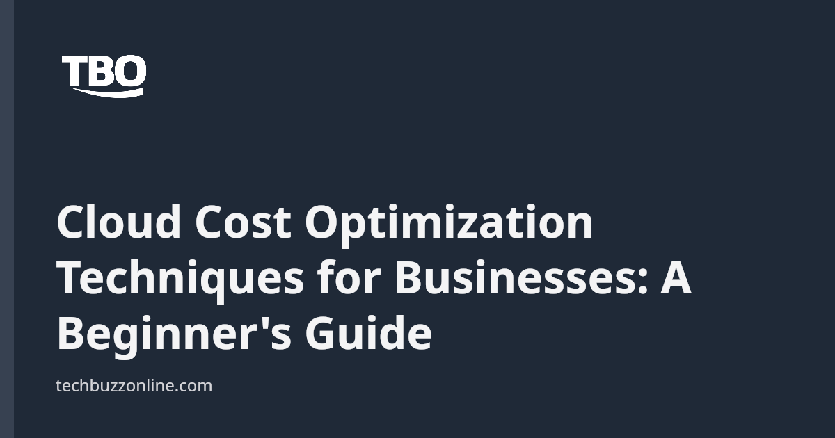 Cloud Cost Optimization Techniques for Businesses: A Beginner's Guide - Tech Buzz Online