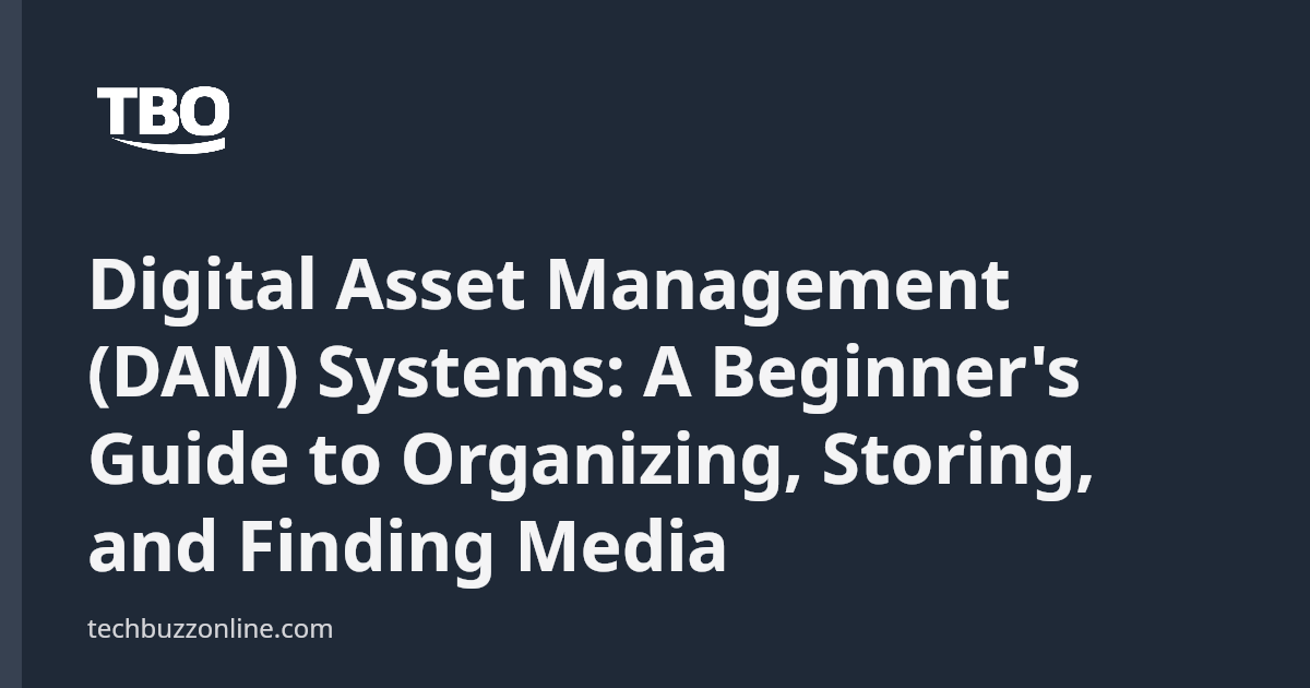 Digital Asset Management (DAM) Systems: A Beginner's Guide to ...
