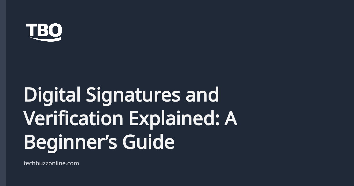 Digital Signatures and Verification Explained: A Beginner’s Guide ...