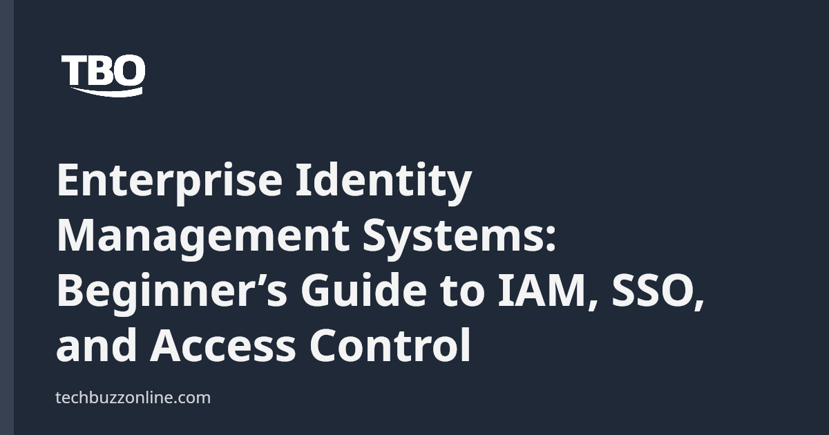 Enterprise Identity Management Systems: Beginner’s Guide to IAM, SSO ...