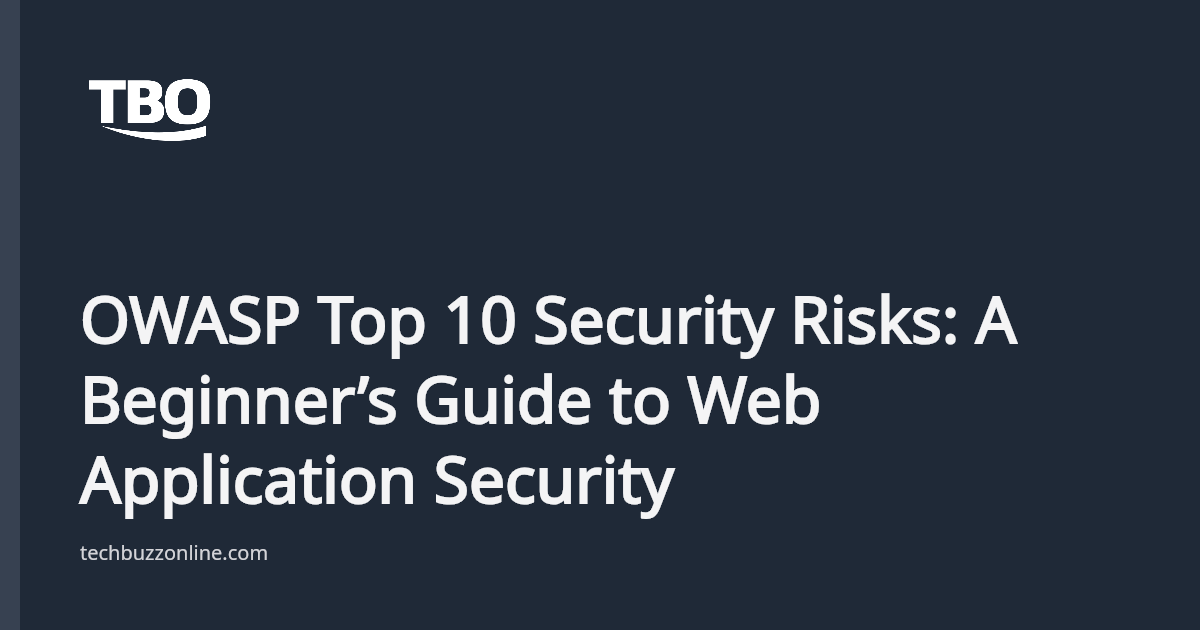 OWASP Top 10 Security Risks: A Beginner’s Guide to Web Application Security - Tech Buzz Online