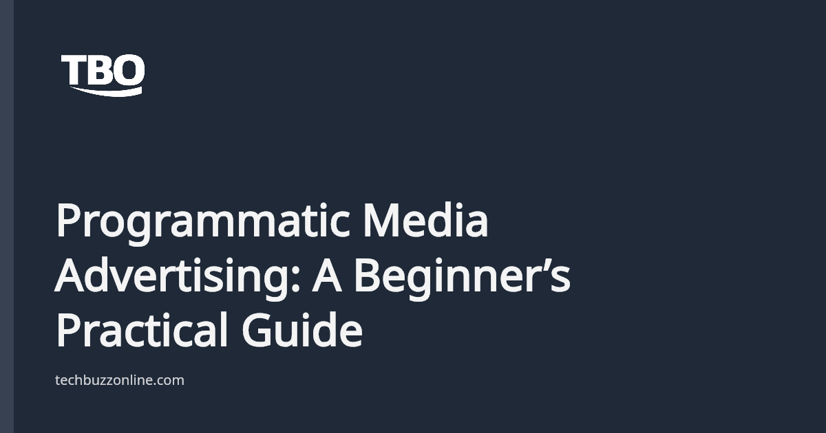 Programmatic Media Advertising: A Beginner’s Practical Guide - Tech Buzz Online